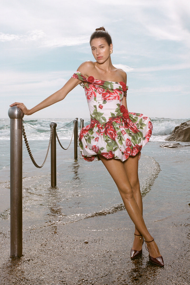 Wear a Work of Art: Sonia Rose Print & MESHKI